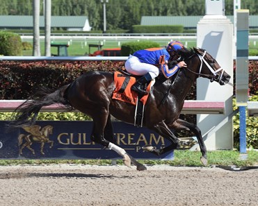 Zulu - Horse Profile - BloodHorse