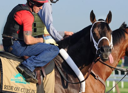 Ride On Curlin - Horse Profile - BloodHorse
