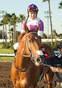 Ann Arbor Eddie - Horse Profile - BloodHorse