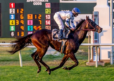 Well-Coached Chris Davis a Trainer to Watch - BloodHorse