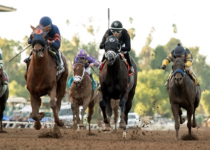 Sharp Azteca - Horse Profile - BloodHorse