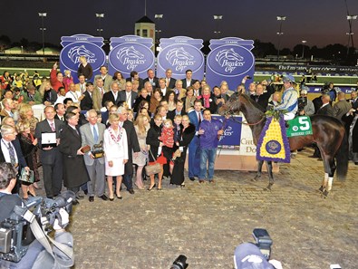 Blame - Horse Profile - BloodHorse