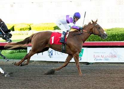 Ann Arbor Eddie - Horse Profile - BloodHorse