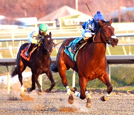 Greatbullsoffire Runs Away With MD Futurity - BloodHorse