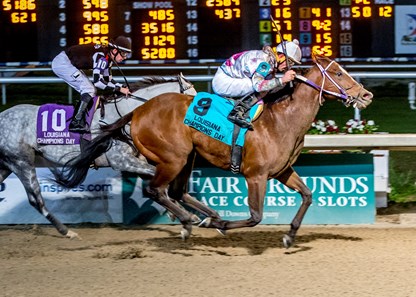 My Friend Flavin - Horse Profile - BloodHorse