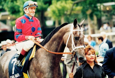 Cara Rafaela - Horse Profile - BloodHorse