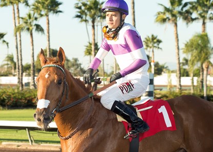 Ann Arbor Eddie - Horse Profile - BloodHorse