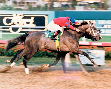 Cara Rafaela - Horse Profile - BloodHorse