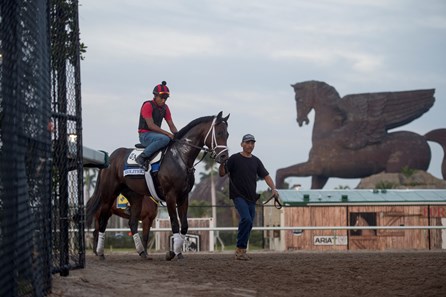 Neolithic - Horse Profile - BloodHorse