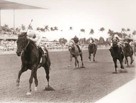 Family of Dual Classic Winner Swale Carries His Legacy - BloodHorse