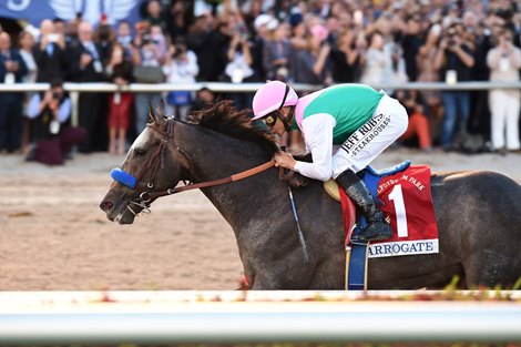 Twice in a Lifetime - BloodHorse