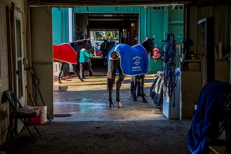 Final Horses Out of Isolation at Fair Grounds - BloodHorse