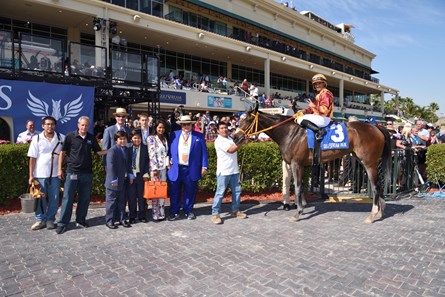 Curlin's Approval - Horse Profile - BloodHorse
