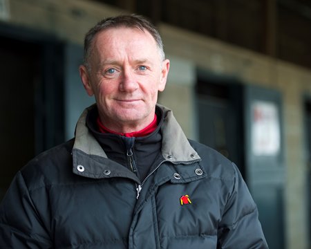 Small January Consignment Working for Sam-Son Farm - BloodHorse