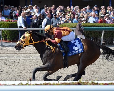 Curlin's Approval - Horse Profile - BloodHorse