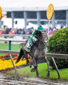 Exaggerator - Horse Profile - BloodHorse