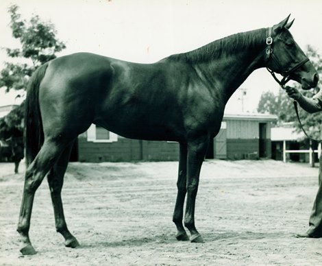 Look Back: Busher Beats the Boys in 1945 San Vicente - BloodHorse