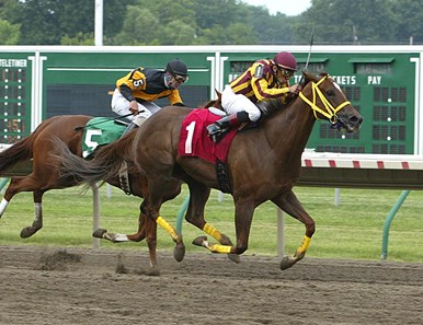 Irish War Cry - Horse Profile - BloodHorse