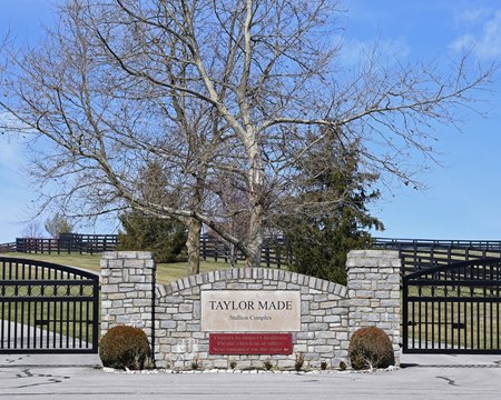Take a Virtual Tour of Taylor Made Farm - BloodHorse