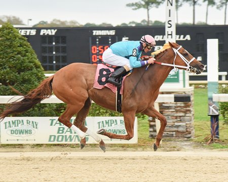 Experience Helps Allen Compete at Tampa Bay Downs - BloodHorse