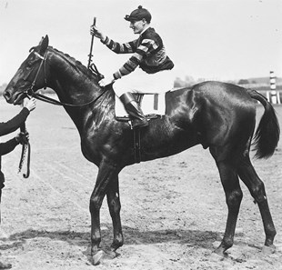 Man o’ War: A Photographic Tribute - Slideshow - BloodHorse