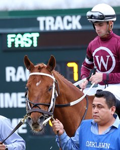 Grade 1 Winner Gun Runner Likely Dubai Bound - BloodHorse