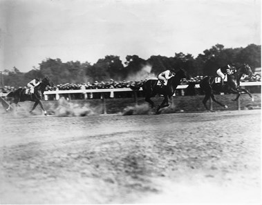 Man o' War - Horse Profile - BloodHorse
