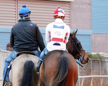 Lookin At Lee - Horse Profile - BloodHorse