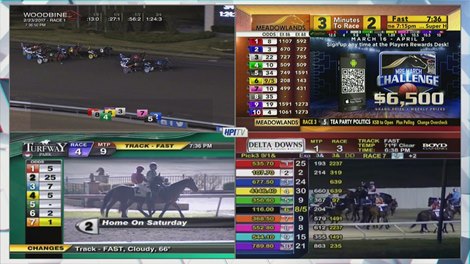 Canadian Racing Channel HPItv to Remain on the Air - BloodHorse