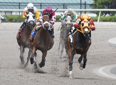 Curlin's Approval - Horse Profile - BloodHorse