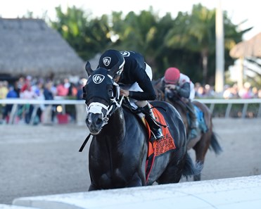 Sharp Azteca - Horse Profile - BloodHorse