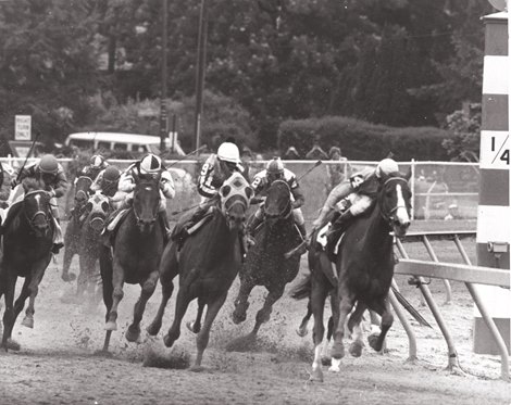 Master Derby: A Fair Grounds Favorite - BloodHorse