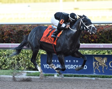 Sharp Azteca - Horse Profile - BloodHorse