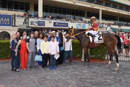 Curlin's Approval - Horse Profile - BloodHorse