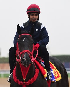 Sharp Azteca - Horse Profile - BloodHorse