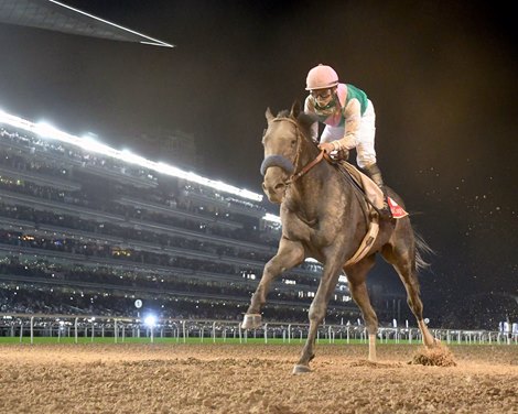 Arrogate Last to First in Dubai World Cup - BloodHorse
