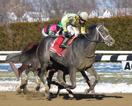 Sunny Ridge Digs in to Win Stymie - BloodHorse