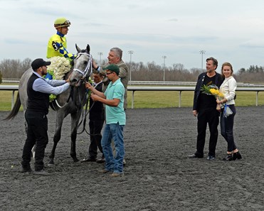 Hansen - Horse Profile - BloodHorse