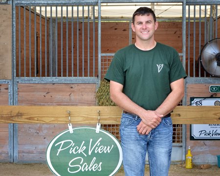Pick View Finds Success in Sales Ring and on Racetrack - BloodHorse