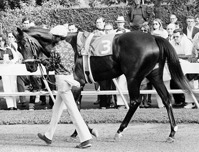 Ruffian: A Photographic Tribute - Slideshow - BloodHorse