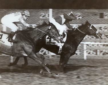 John Henry: A Photographic Tribute - Slideshow - BloodHorse