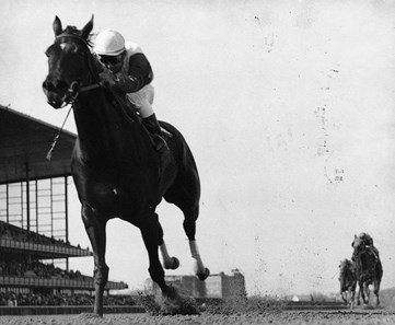 Ruffian: A Photographic Tribute - Slideshow - BloodHorse