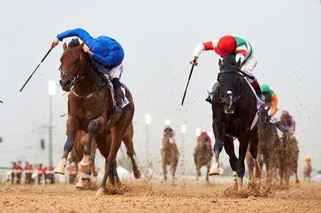 Thunder Snow Gets Up in UAE Derby - BloodHorse