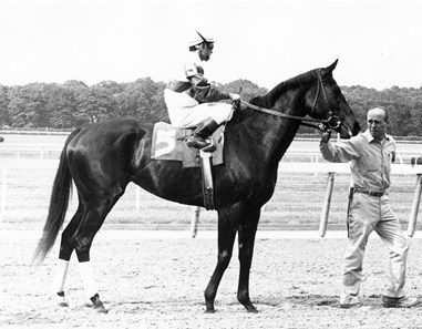 Ruffian: A Photographic Tribute - Slideshow - BloodHorse