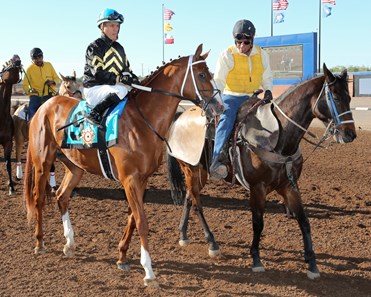 Hence - Horse Profile - BloodHorse