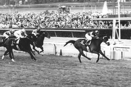 John Henry - Horse Profile - BloodHorse