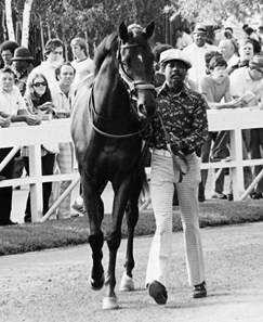 Ruffian: A Photographic Tribute - Slideshow - BloodHorse