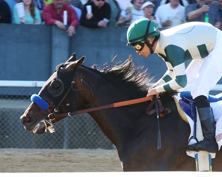 Mor Spirit Steps Up in Wide Open Metropolitan Handicap - BloodHorse