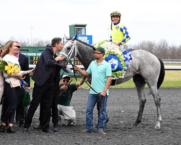 Hansen - Horse Profile - BloodHorse