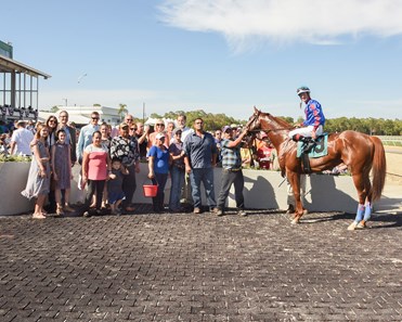 Sonic Boom - Horse Profile - BloodHorse